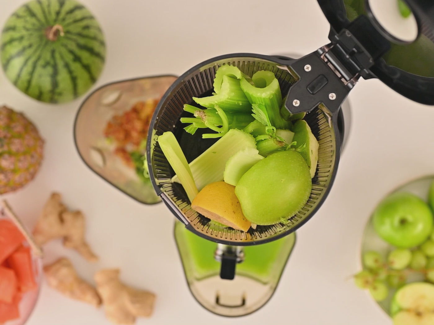 Canoly C09 Slow Juicer Machines Hands-Free Cold Press Juicer Easy Clean